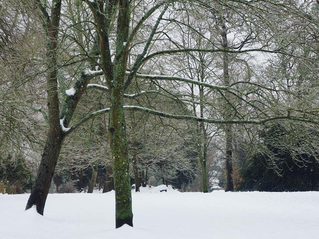 Sonnet Dancing | gravyfromthegazebo