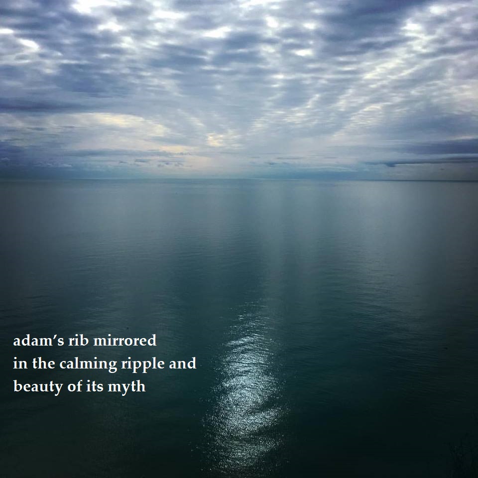 Adam’s Rib | gravyfromthegazebo