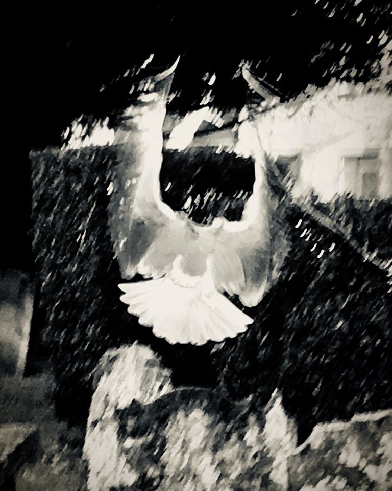 Phantom Flight | gravyfromthegazebo