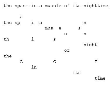 Caught in the ACT | gravyfromthegazebo